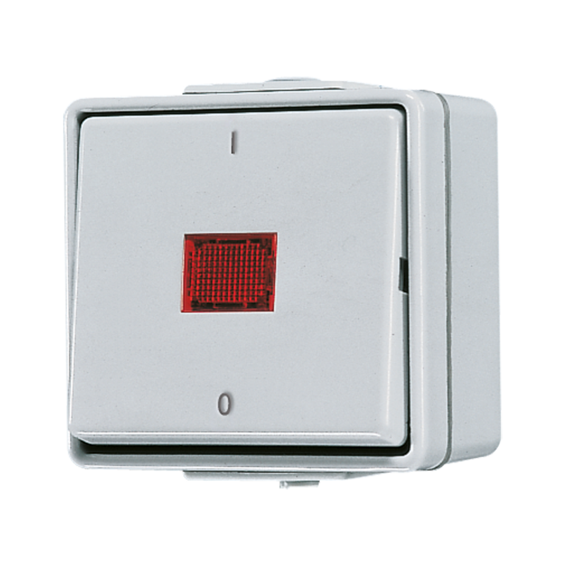 1-gang switch with indicator light, 2-pole, 1-way | 602 KOW