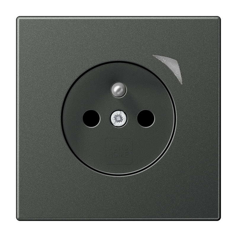 JUNG HOME socket, French/Belgian system, Safety+, anthracite | BT AL ...