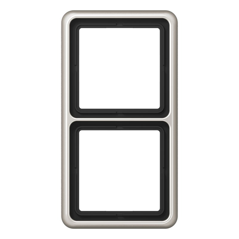 Frame 2-gang, platinum | CD 582 PT