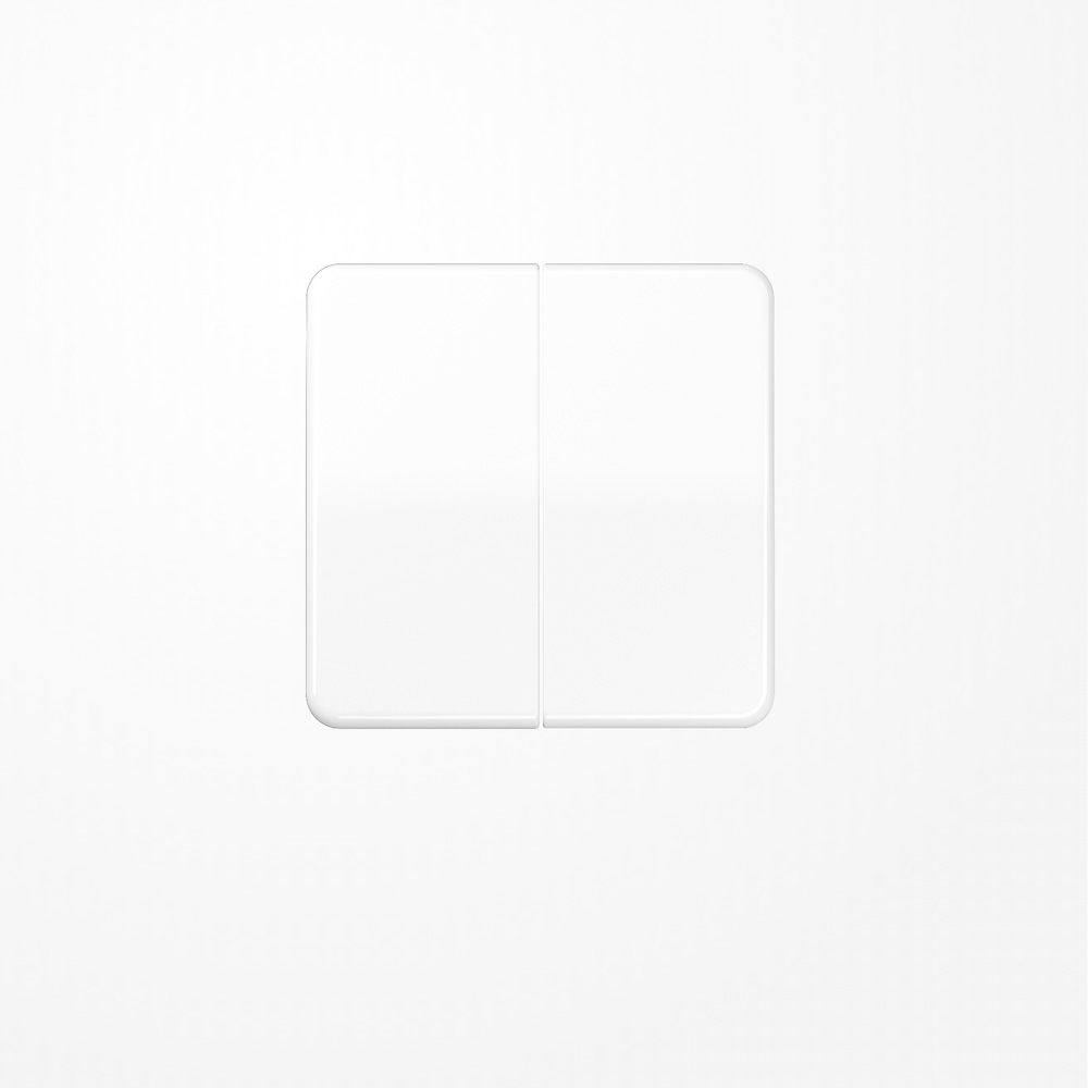 2-gang switch (insert), 2 x 1-pole, 1-way, 10 AX 250 V ~ | 505 U